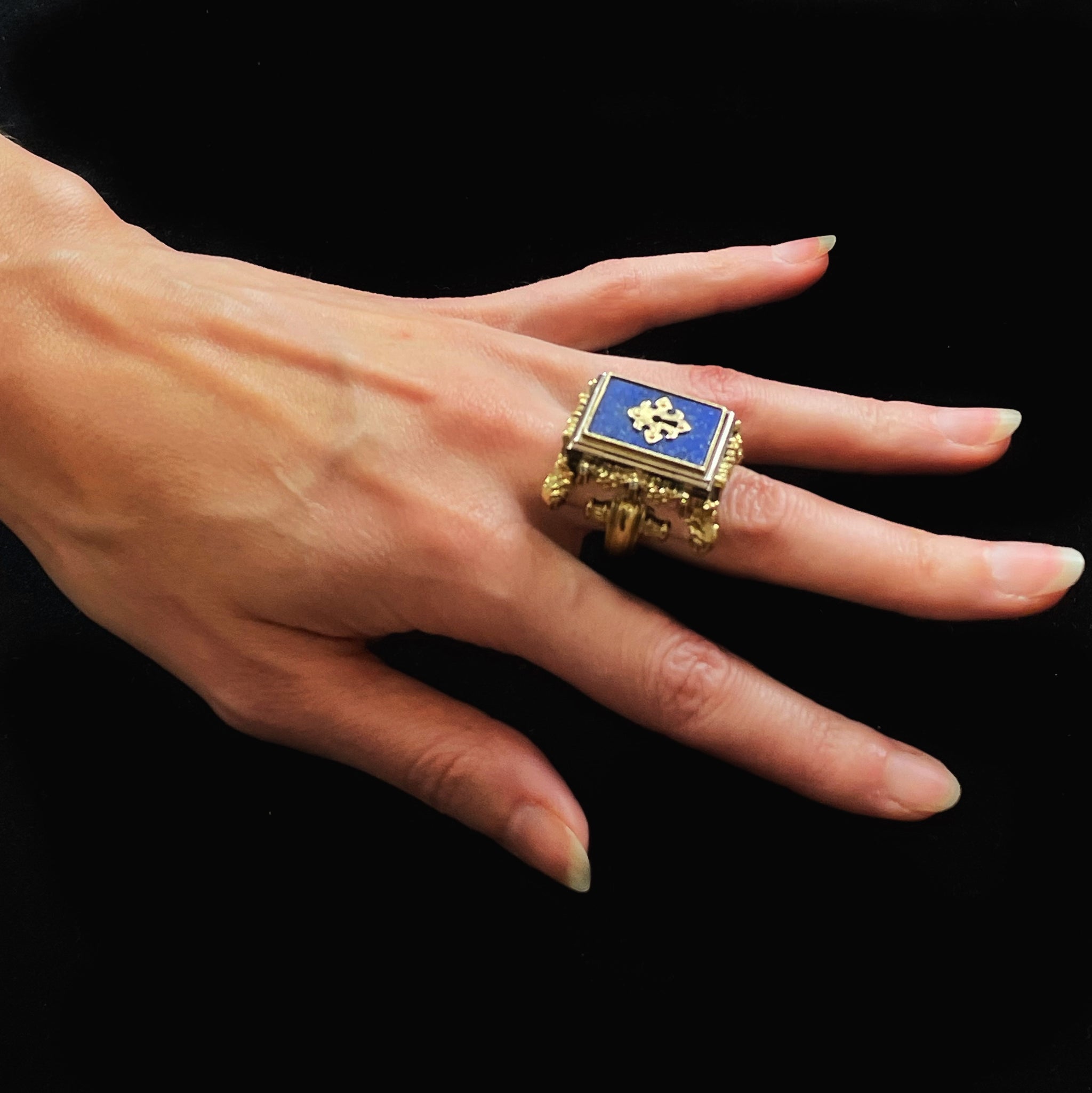 CELESTIAL CHAMBER RING – Metal Couture